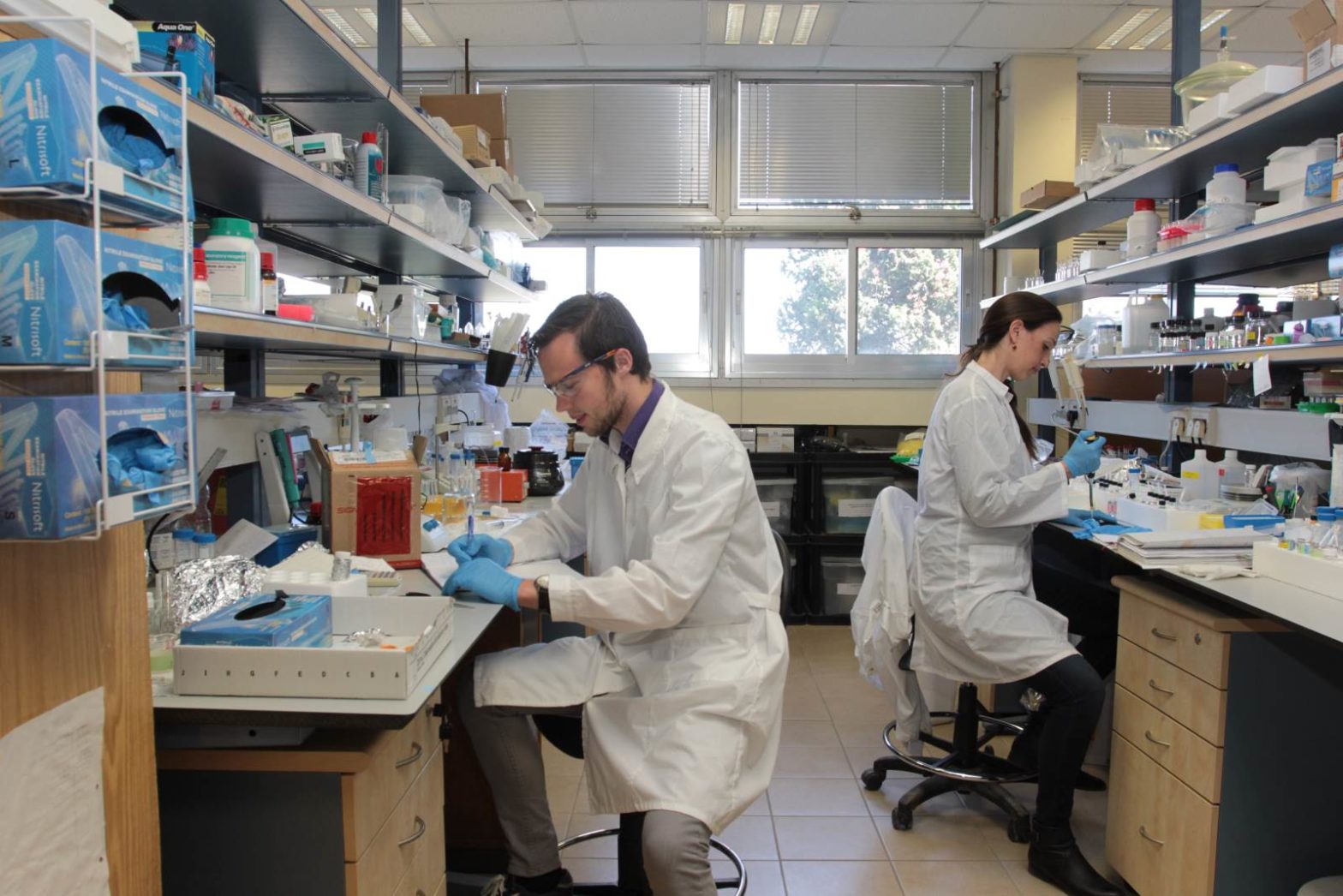 Biosystem and bioengineering - The Wolfson Department of Chemical ...