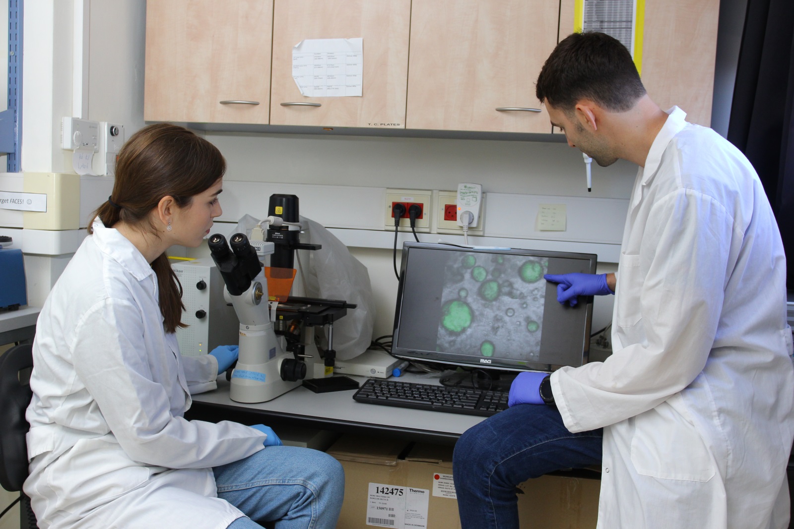 The Lab for Targeted Drug Delivery and Personalized Medicine - The ...