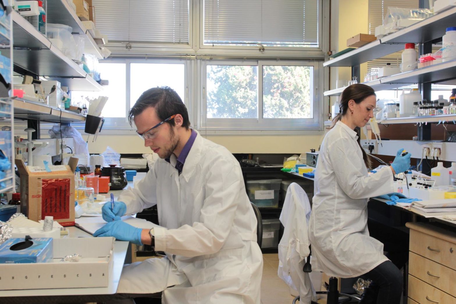 Polymeric biomaterials: Structure – function relations - The Wolfson ...